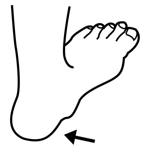 Print Crossword Puzzle: Palabras escondidas- cuerpo humano- (2º primaria)