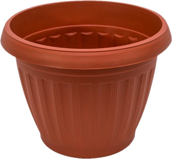 Print Froggy Jumps: Conciencia silábica, sílaba inicial (fonoaudiología - sílaba - conciencia ...